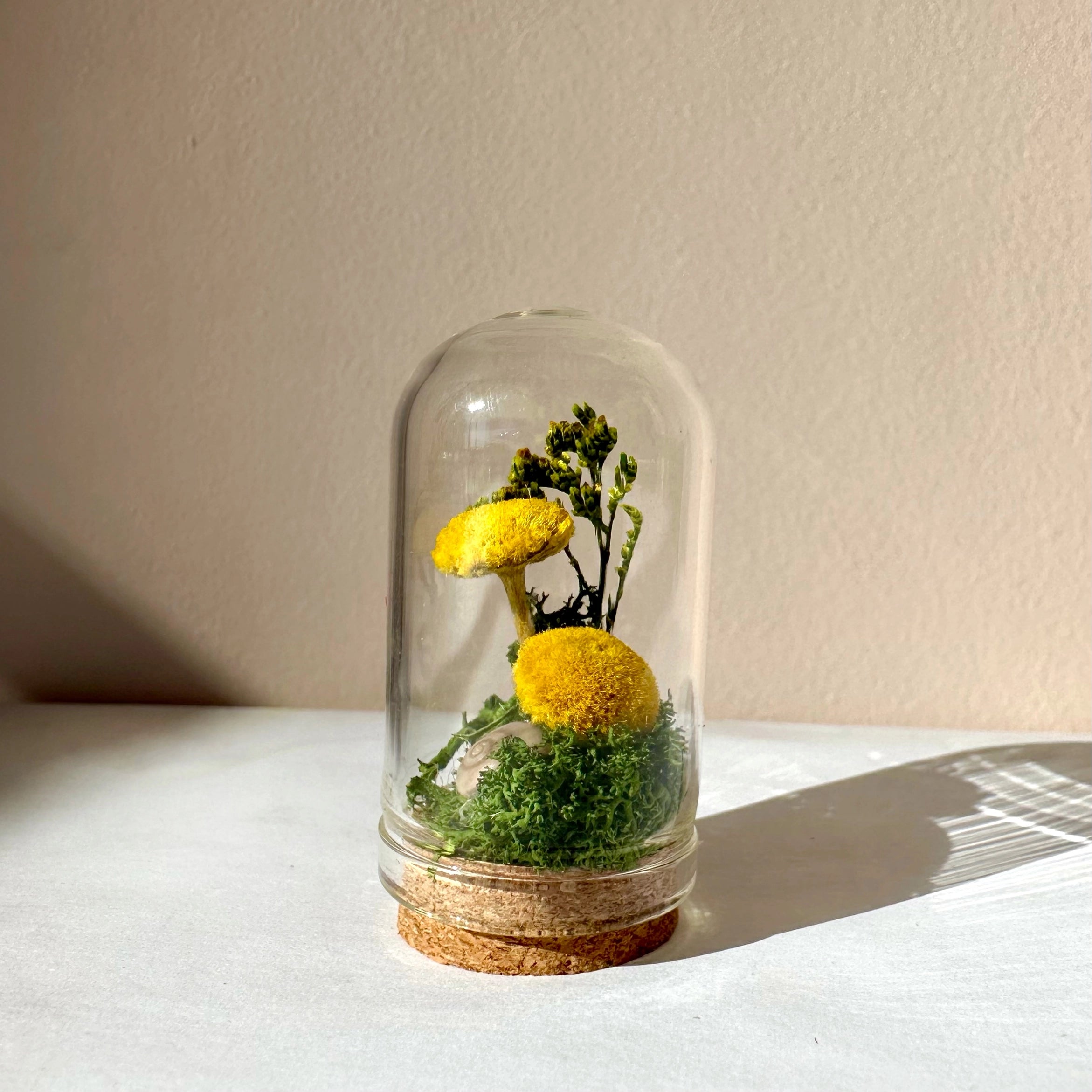 Mini Glass Terrarium | Yellow Meadow Mix Fields with Dried Flowers ...