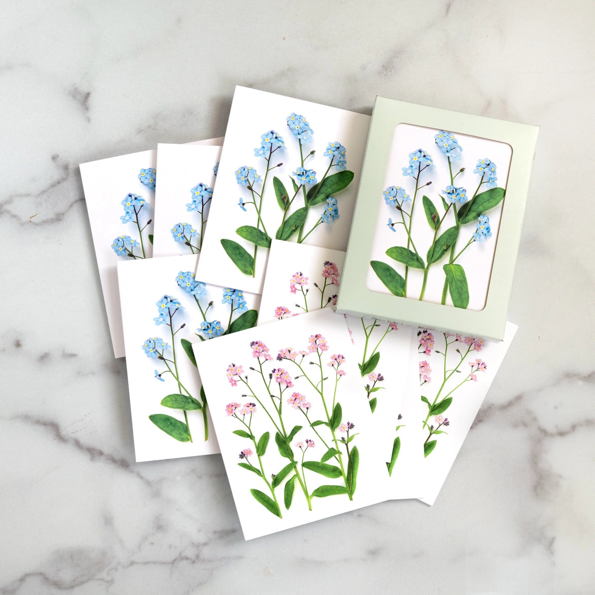 Forget-Me-Nots | Assorted 8 Card Set * – The Paper Mouse