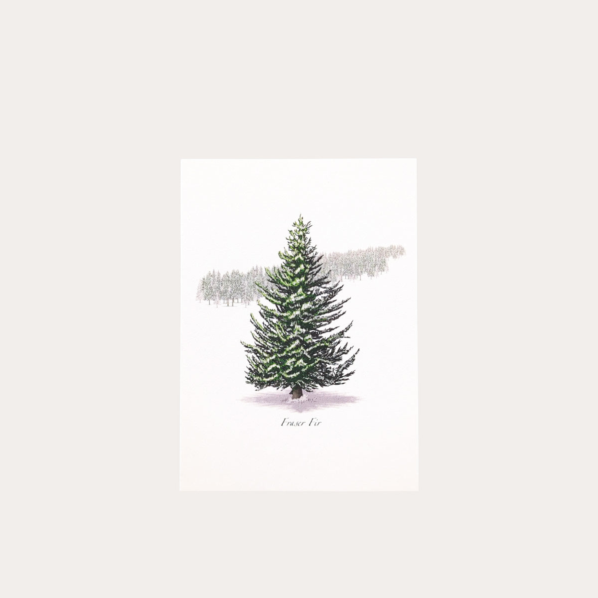 Frasier Fir | 8 Card Set – The Paper Mouse