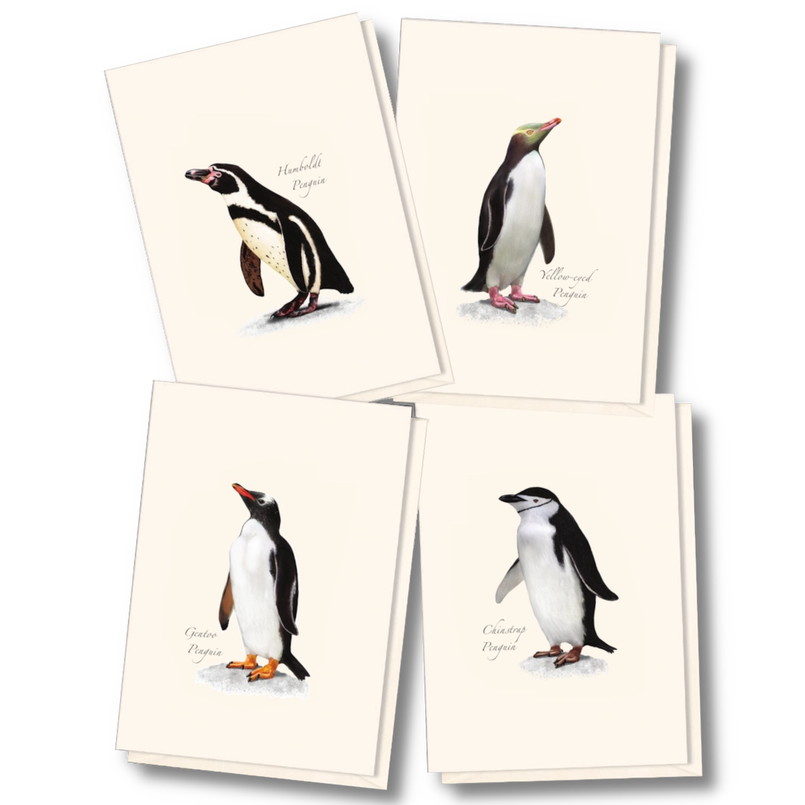 Penguin | 8 Card Set – The Paper Mouse